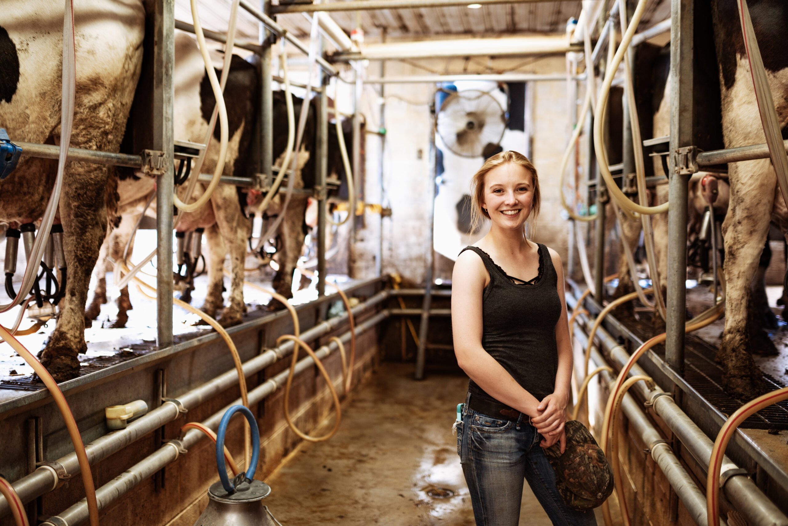 Dairy Industry Opportunities - Dairy Jobs